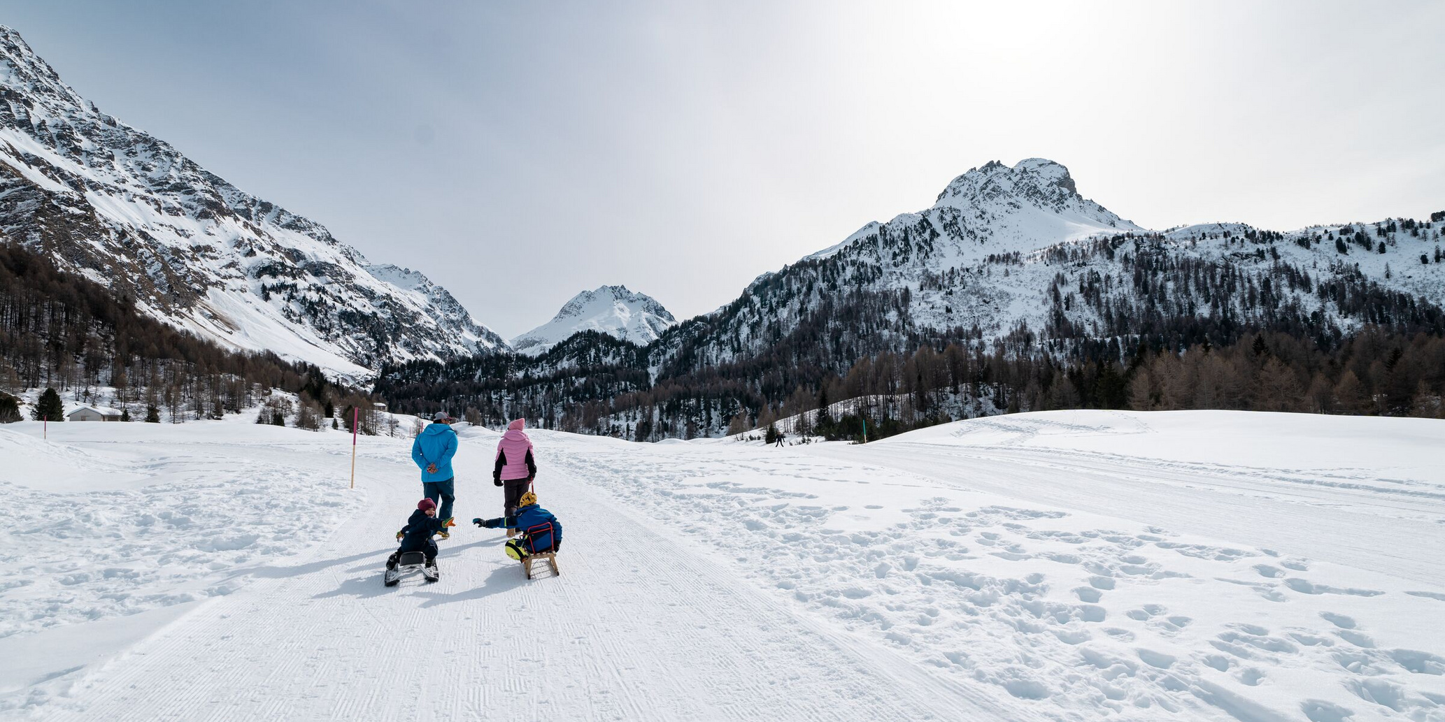 Winter fairy tale Maloja | Engadine, Switzerland