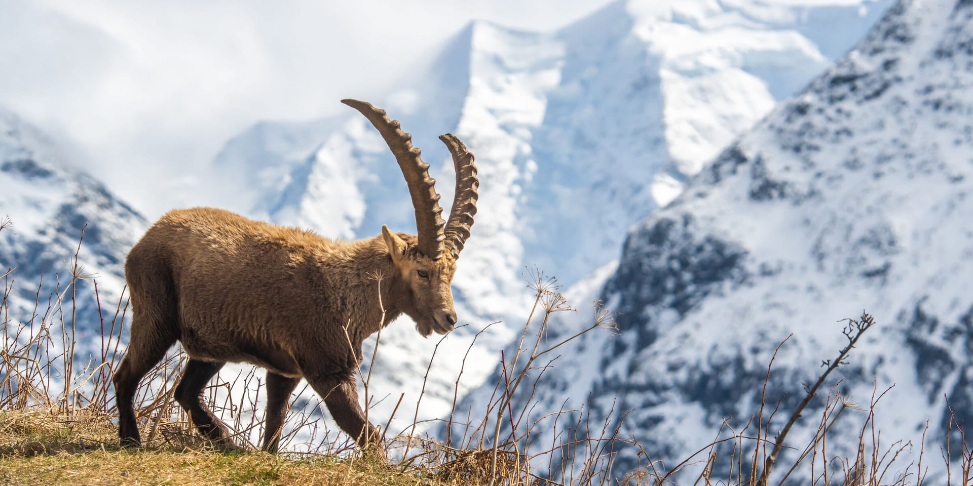 Engadin: Wide Valleys, Clear Lakes and Vibrant Villages | Engadin ...