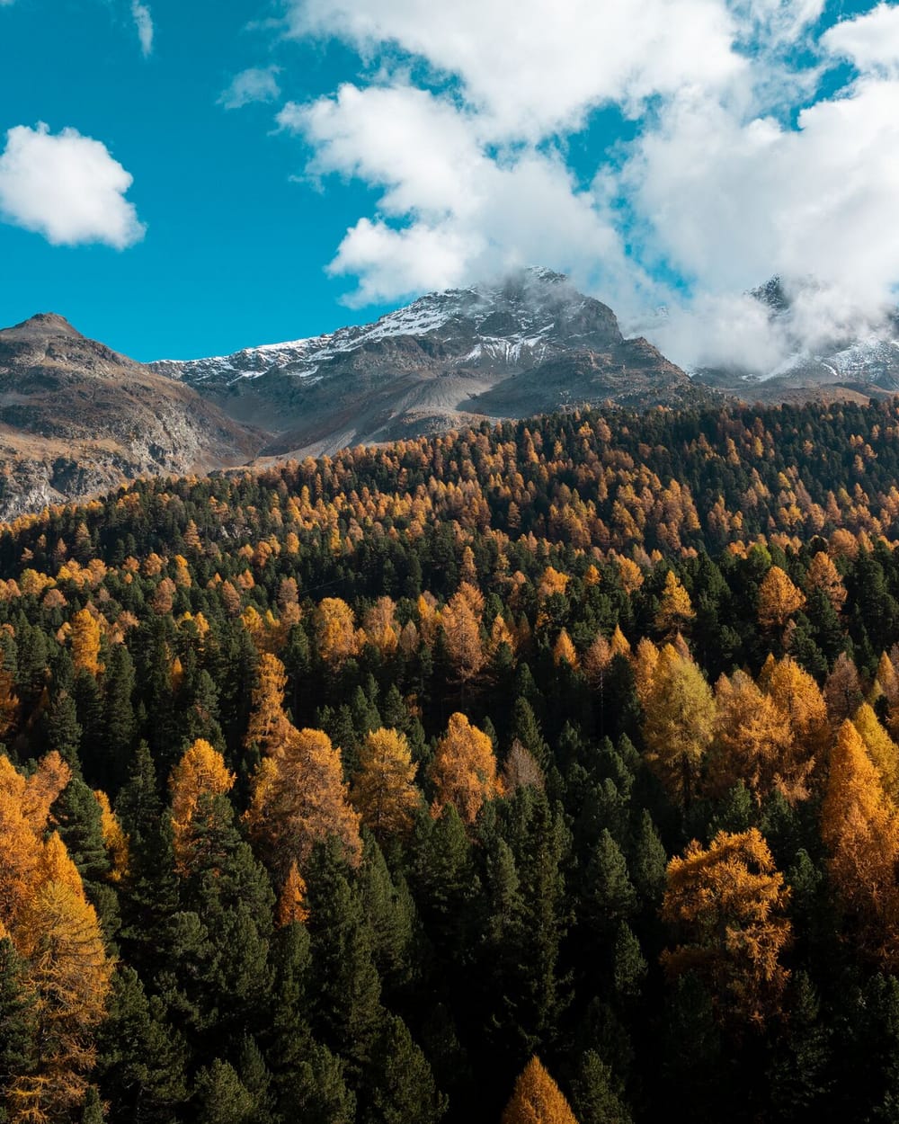 Engadin – Ihr Traumziel in den Alpen: Natur, Abenteuer und Erholung ...