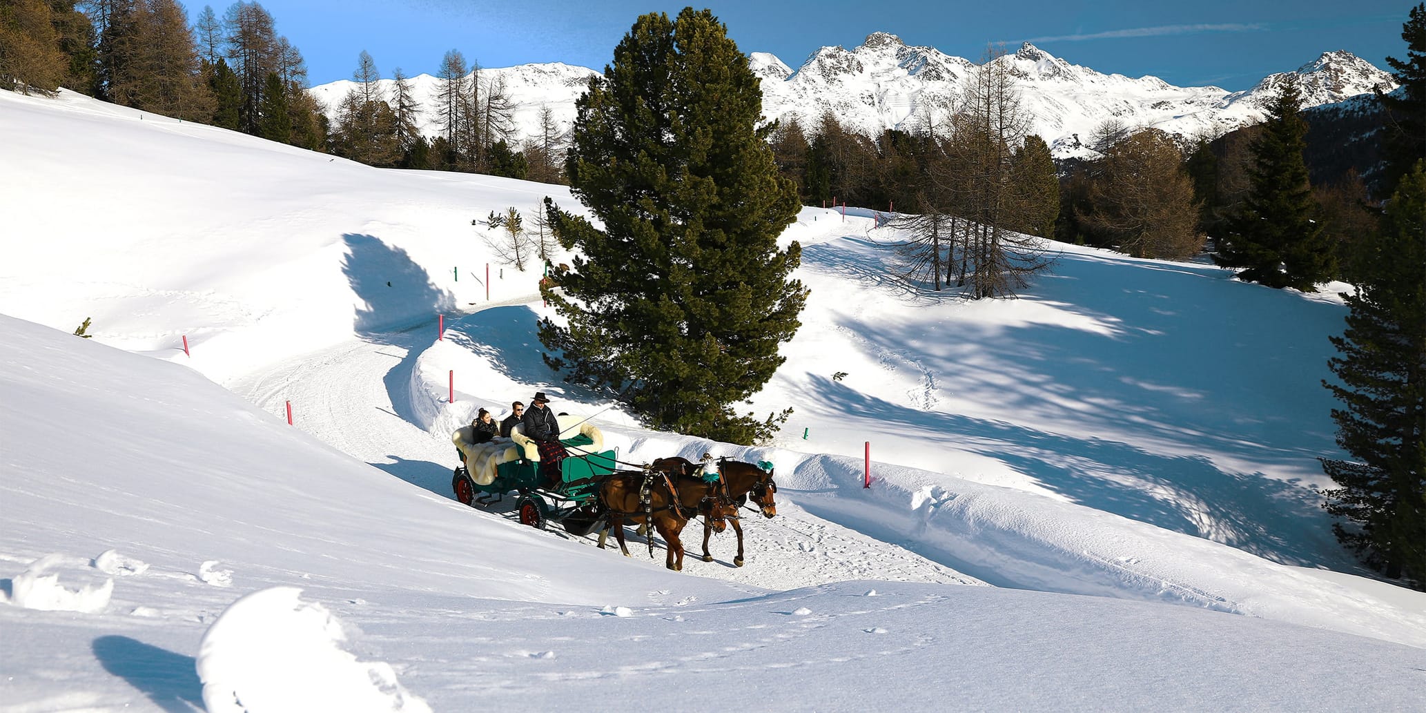 Carriage rides in St. Moritz - Romantic tours through the Alps ...