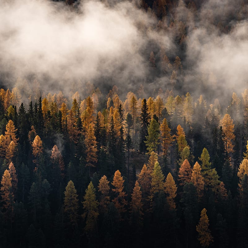 Walo Bertschinger AG