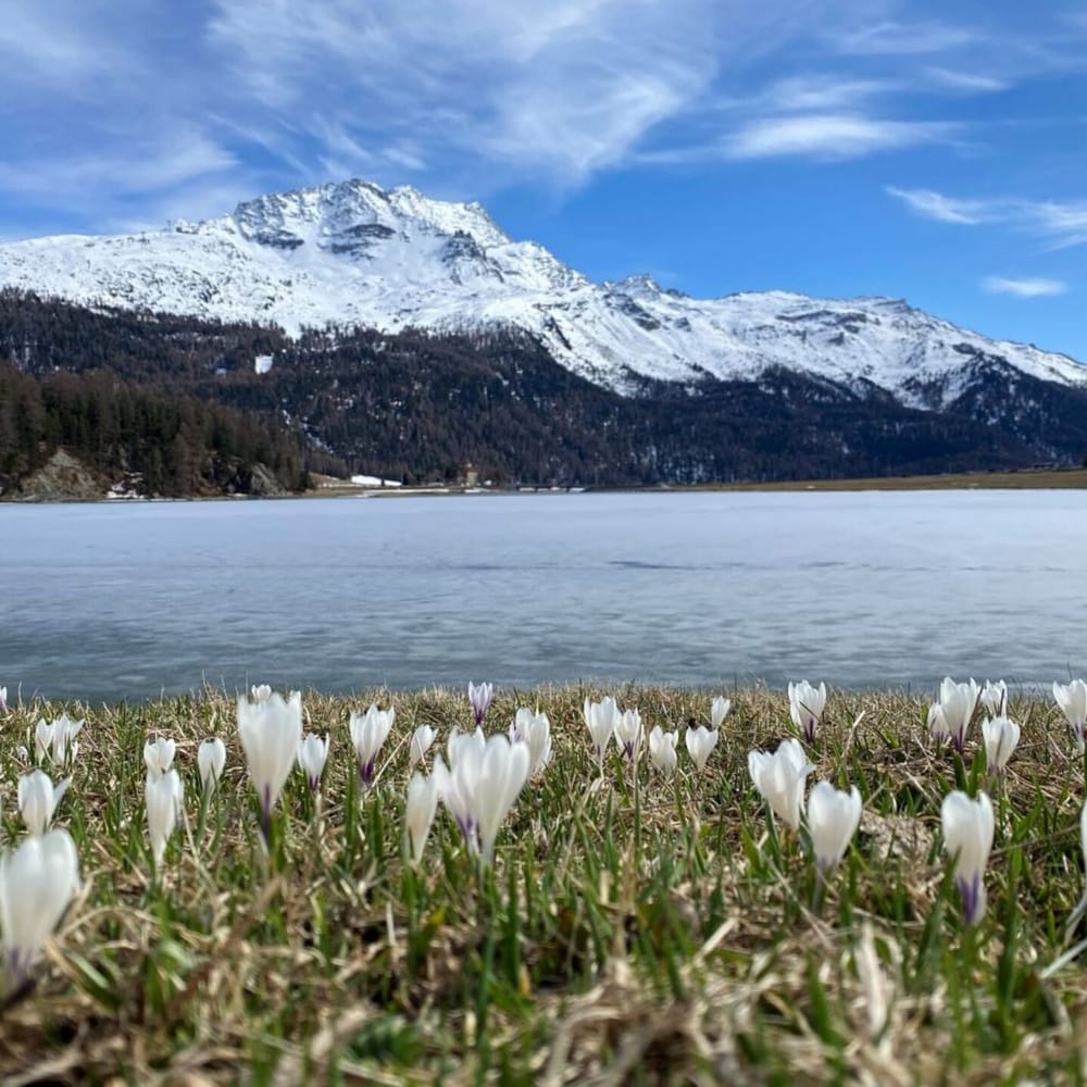 Engadina: valli ampie, laghi cristallini e villaggi pieni di vita ...
