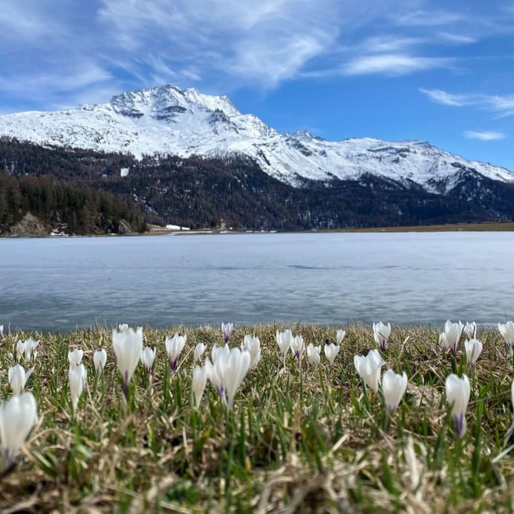 Holidays in the Engadin | Engadin, Switzerland