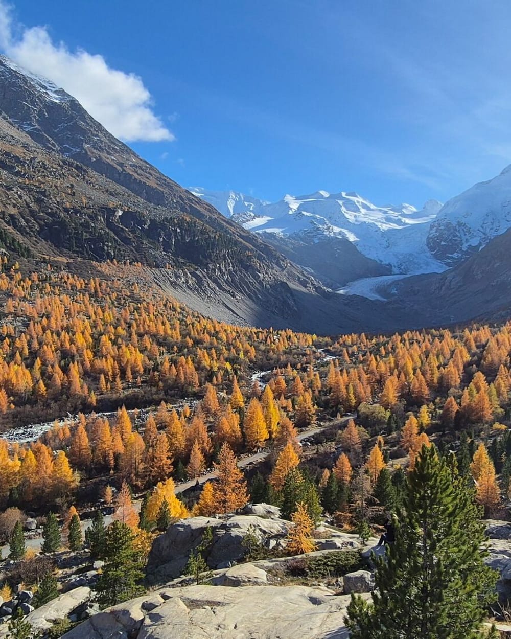 Engadin – Ihr Traumziel in den Alpen: Natur, Abenteuer und Erholung ...